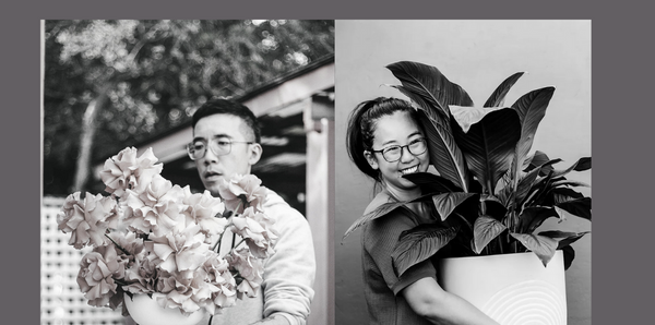 Fable Studio Co - a magical combination of creativity, ambition and qu ...