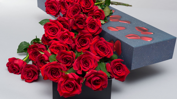 How do all the roses bloom just in time for Valentine's day? And what ...